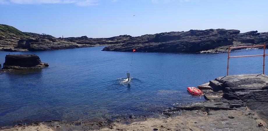 【第271回ダイビングプール練習会】2023/12/4(月)19:00～21:00(2H) | Peatix