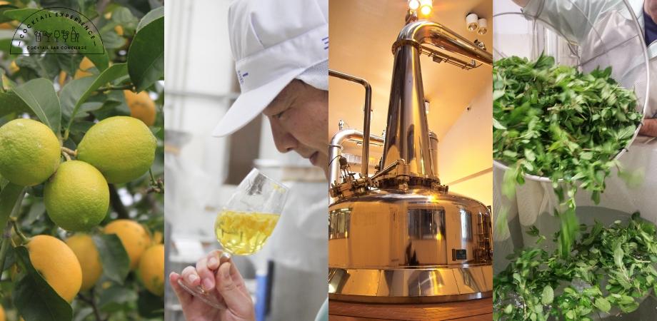 【満員御礼】初開催 Time to Refresh いざ九州・大分へ 麹のスピリッツ TUMUGI バーチャル蒸留所ツアー | Peatix