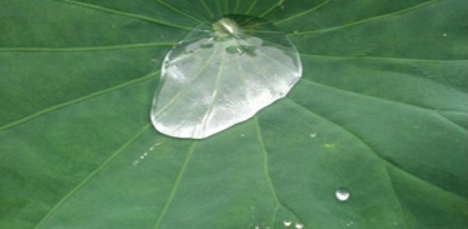 木曜の夕方に陰ヨガの癒しを／Thursday Evening YIN Healing #2 | Peatix