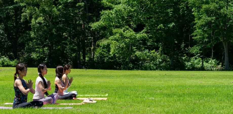 オンラインEarly Bird朝ヨガ 10月 #130~149 | Peatix