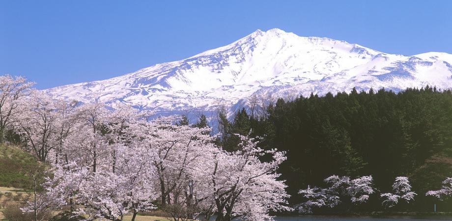 第30回東北アフェレシス研究会・技術講習会 （ZOOMを利用したWEB開催） | Peatix