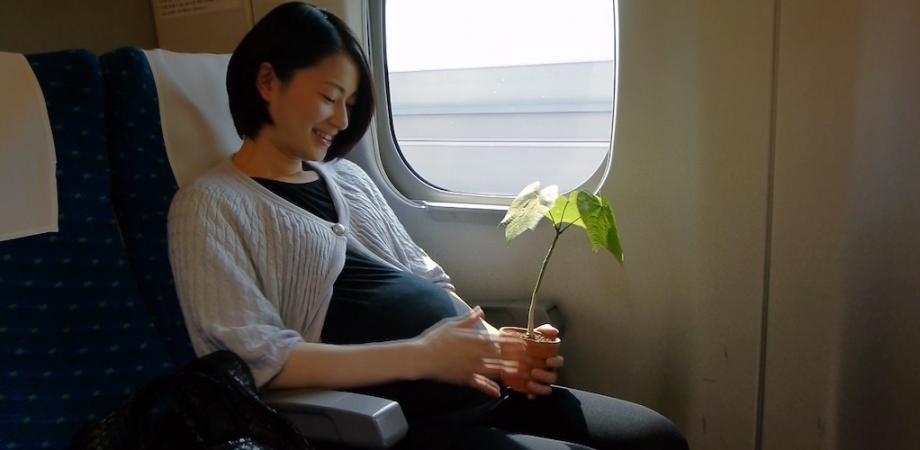 MUSE CINEMA Vol.4 映画『アオギリにたくして』オンライン上映会＋トークライブ | Peatix