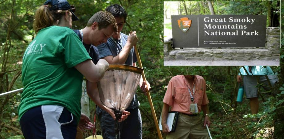 2021日米インタープリテーション研修会＠Zoom | Peatix