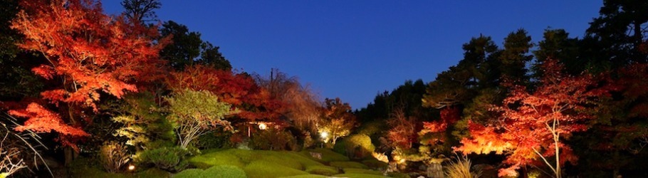 妙心寺退蔵院 夜間特別拝観1 Night Tour1 11/28（月） | Peatix