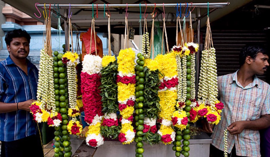 Little India: Jasmine, Cattle, Spice & All Things Nice | Peatix