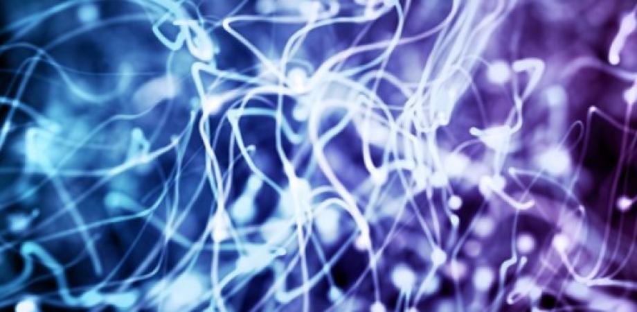 リハビリテーションのためのEBMワークショップ（2022/4/24） | Peatix