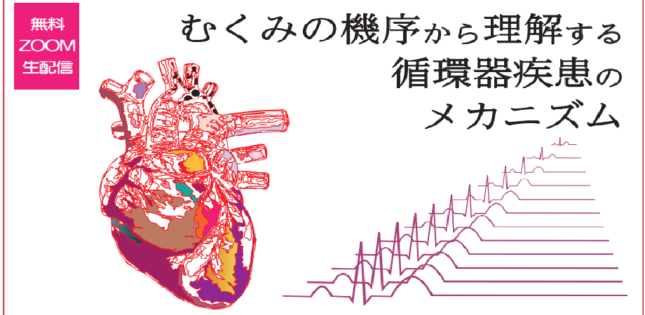 三輪書店グループ共催セミナー #20「むくみの機序から理解する 循環器疾患の メカニズム」 | Peatix