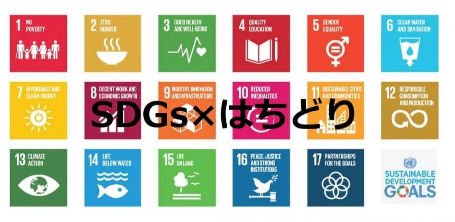 SDGs de 地方創生カードゲーム@室蘭 | Peatix