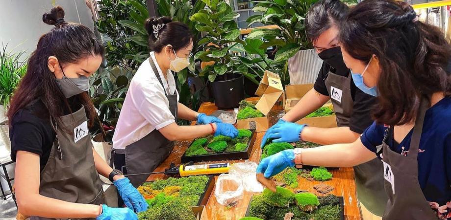 archiCARNIVAL: Moss Art Workshop | Peatix