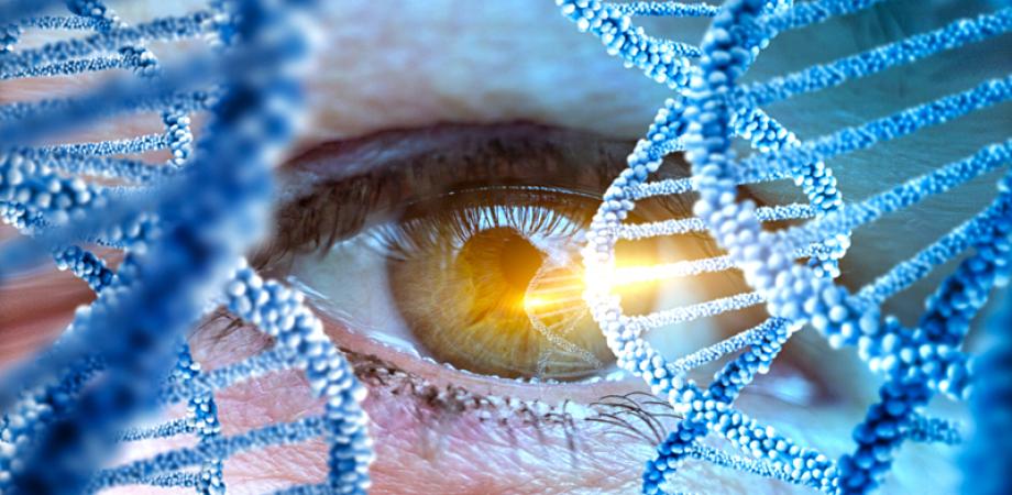 【Coaching in English Group】一般社団法人国際コーチング連盟日本支部（ICFジャパン） | Peatix