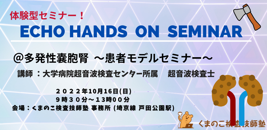 【10月16日(日)9：30〜】多発性嚢胞腎モデルで行う腹部エコーハンズオンセミナー 『くまのこ検査技師塾』 | Peatix