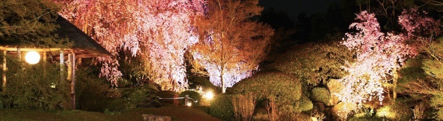 Myoshin-ji Taizo-in Night Illuminations Tour2 2018/4/3（Tue) | Peatix