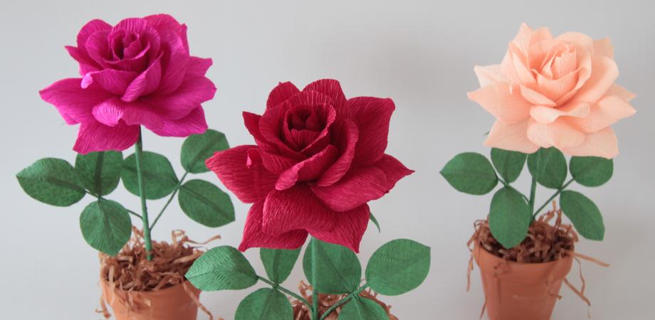 Potted Rose - A Crepe Paper Flower Workshop | Peatix