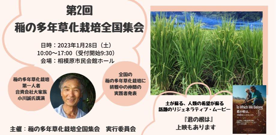第二回 稲の多年草化栽培 全国集会 1月28日開催！ | Peatix