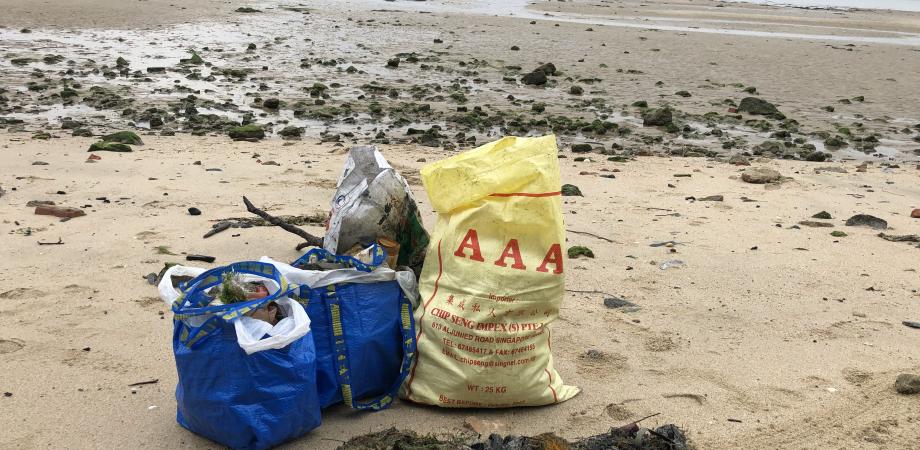 Tanah Merah Beach Cleanup (Tiny Beach) | Peatix