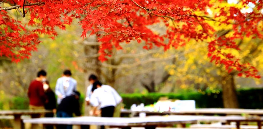 JCDA会員限定【大宮で開催】トライアル30！ | Peatix