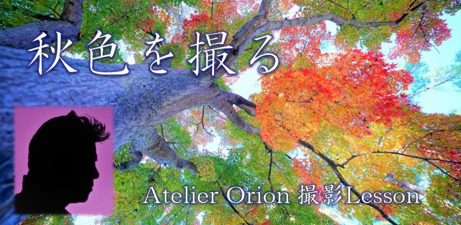 秋色を撮る ～Atelier Orion 撮影レッスン～ | Peatix