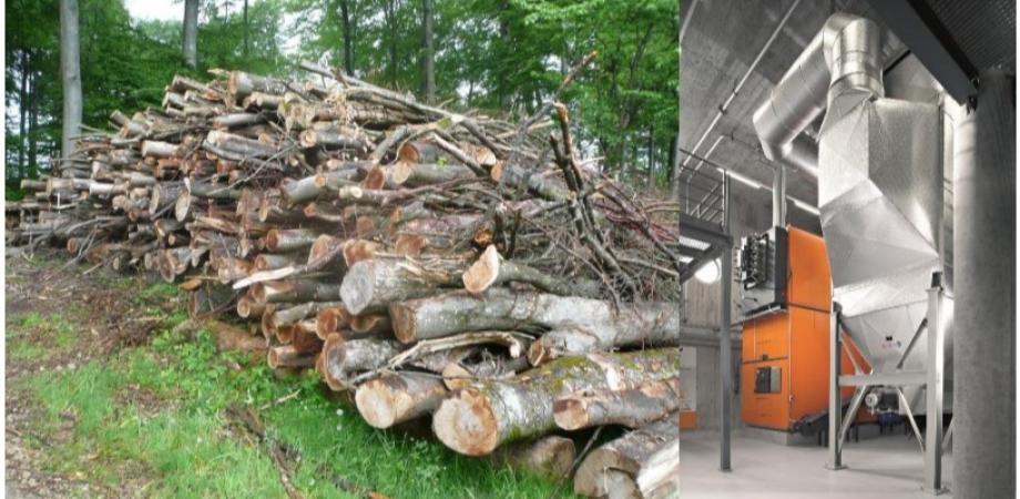 【スイスー日本サステナビリティ交流会・アーカイブ配信】アンドレアス・ケール氏ウェビナー 「スイスにおける木質バイオマスエネルギー利用の今」 | Peatix