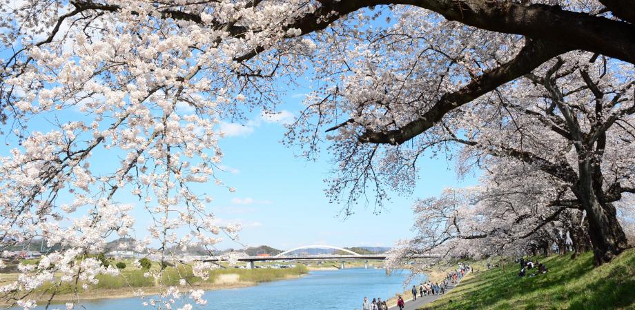 第32回東北アフェレシス研究会・技術講習会（ZOOMによるWEB開催) | Peatix