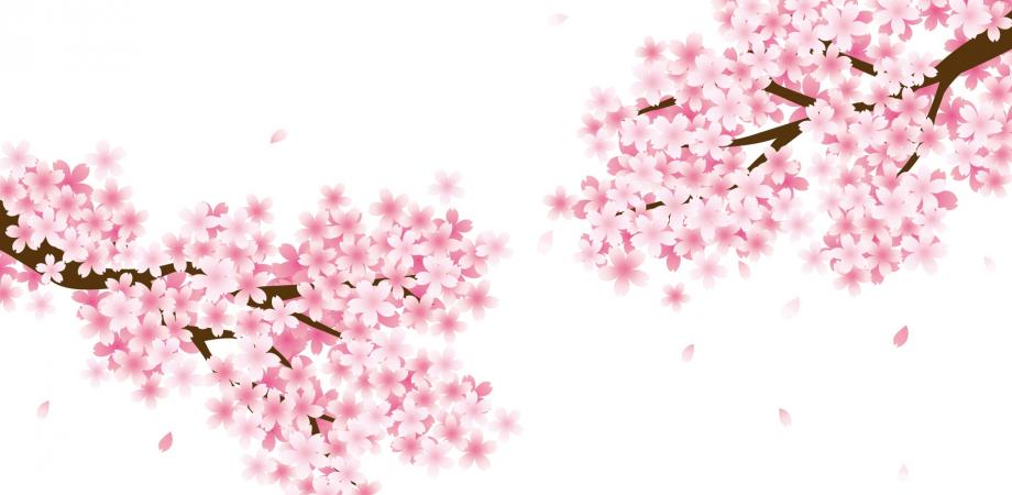 乳がん患者会VOL-net web聴き合いの会+簡単ほぐしヨガ | Peatix