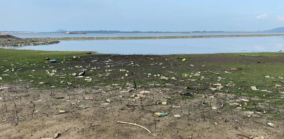 Changi Bay Point Beach Cleanup | Peatix