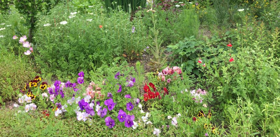 【オンデマンド配信専用チケット】日本ペアレント・トレーニング研究大会2022 | Peatix