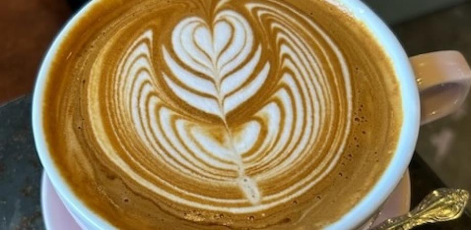 ビオダンサ神田の森、PARC自由学校クラス Q&Aセッション2023#2 | Peatix