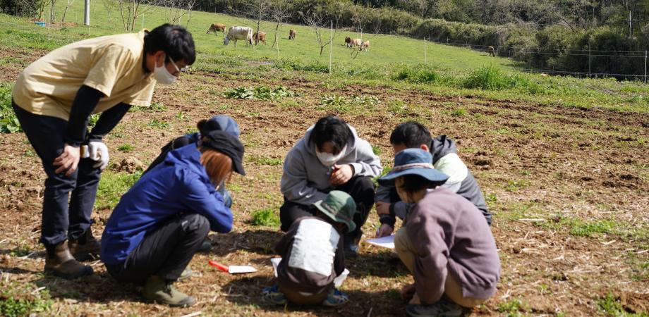 5月14日(日) いきもの観察会＆牧場開拓作業 | Peatix