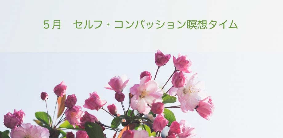 【無料】2023 オンライン・セルフ・コンパッション瞑想タイム【ガイド付】開催：5月28（日）20時〜 | Peatix