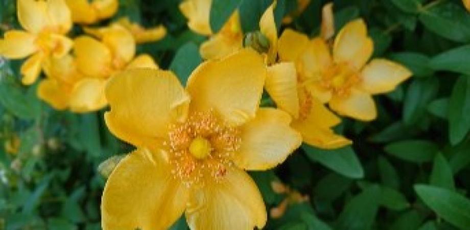 オンライン 看護管理者研修 看護補助者の活用と成長支援 Vol.88 (看護経済・政策研究学会 主催 充実加算適合) | Peatix