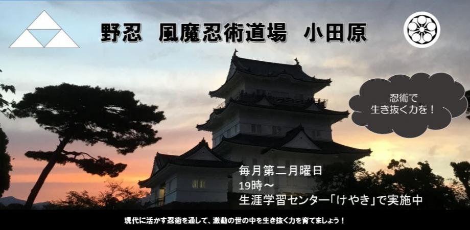 野忍風魔忍術道場 小田原5月稽古会 | Peatix