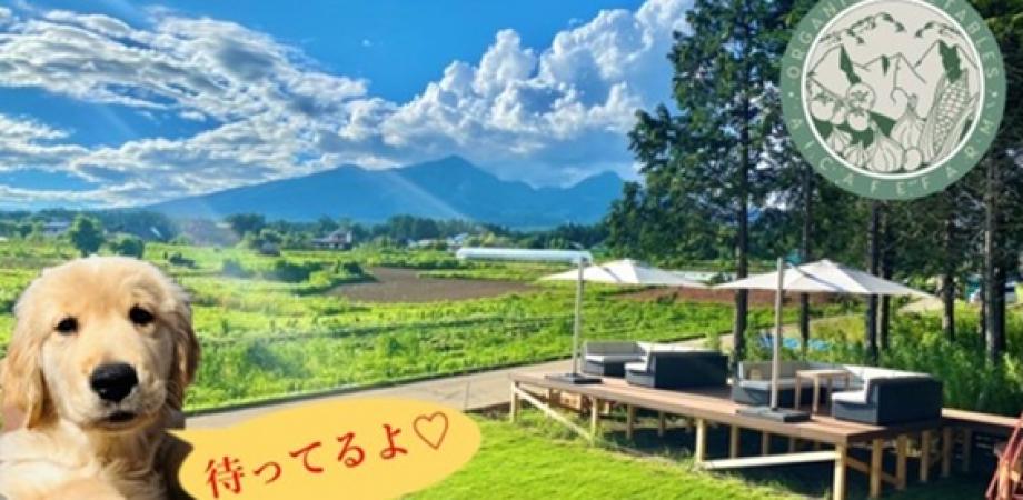 2023.7.30(日)_2023 真夏のアイカフェファームイベント | Peatix