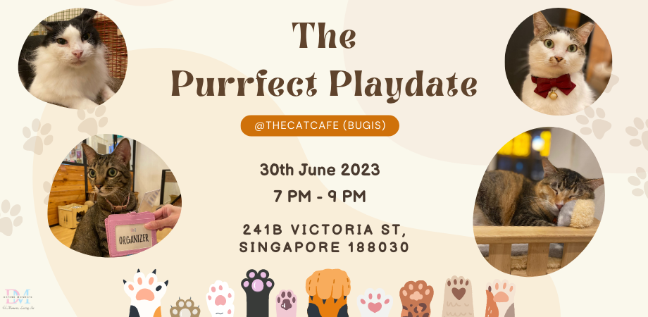 The Purrfect Playdate (Calling for Ladies) | Peatix