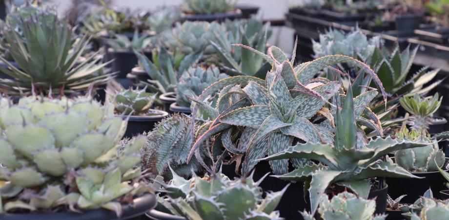 GREEN ADD PROJECT vol.2 | Peatix