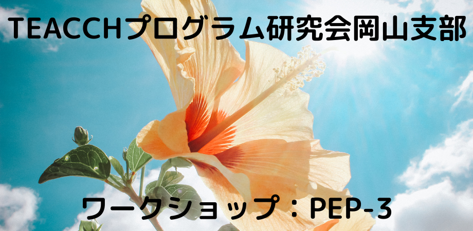 【ワークショップ：PEP-3について】 7月2日の実践研修は別途申し込みが必要です(詳細は日時に記載してあります) ※オンライン講義のみ見逃し配信あり | Peatix
