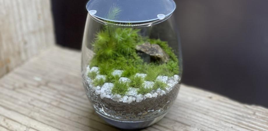 moss connect | Peatix