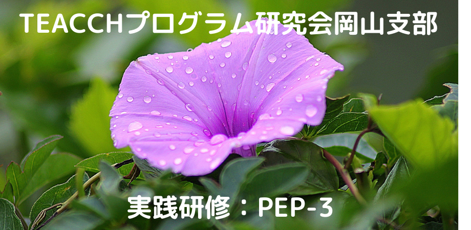実践研修：PEP-3申し込み(岡山支部会員限定) ※必ず7月1日の講義を受講の上ご参加ください。 | Peatix