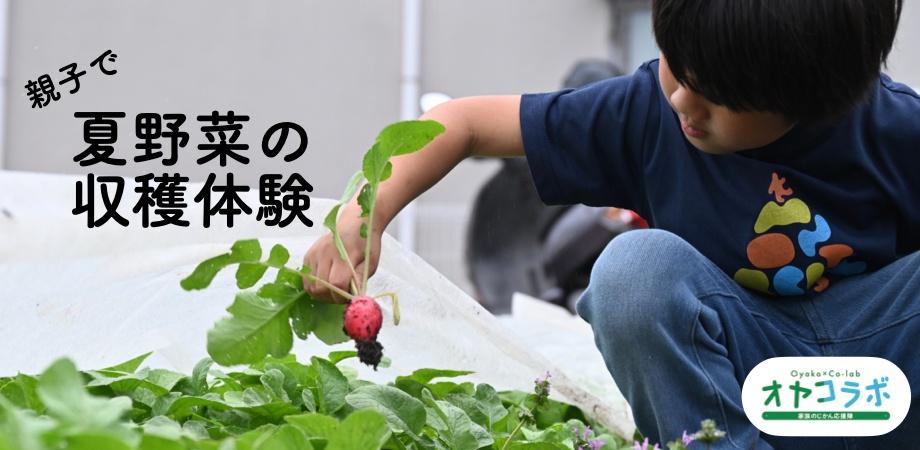 ピスト教育研究所 | Peatix