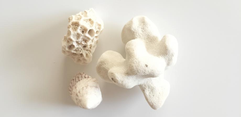 おかゆのつどい vol.12 | Peatix