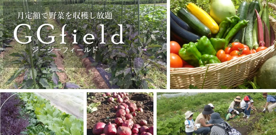 前半無料配信『山形の新たな風！ ゆるく繋がる置賜若手農業者のつどいレポート』次代の農と食を語り合う会 vol.08 | Peatix