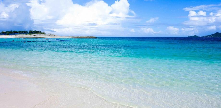 日本フランス語教育学会 2024年度大会 (Congrès SJDF 2024) | Peatix