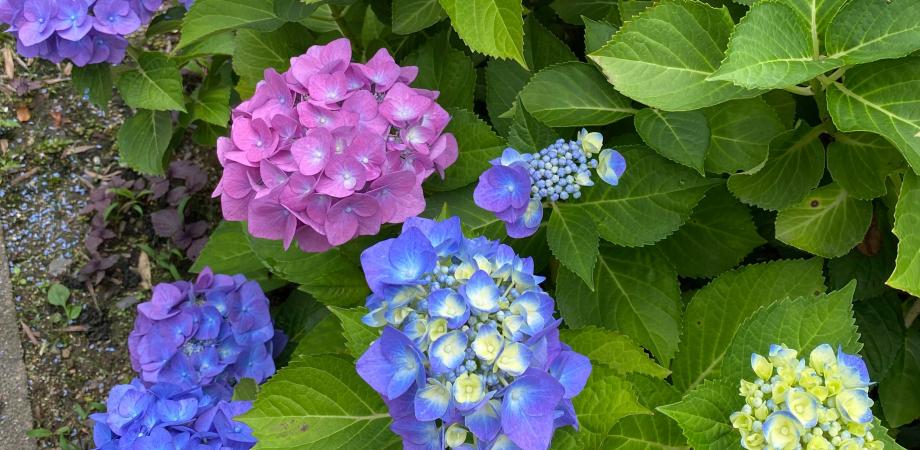 小中学生の不登校保護者の情報交換会 #2 | Peatix