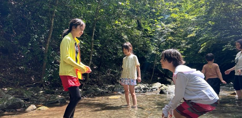 【日曜開催！】森の教室 in いもいも数馬の森 2023年9月 | Peatix