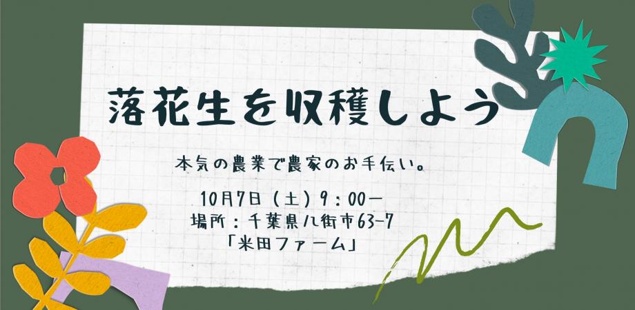 落花生を掘ろう！！米田ファームで農業体験 #3 | Peatix