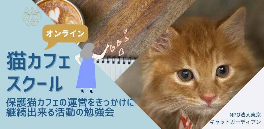 猫カフェスクール 保護猫カフェの運営をきっかけに継続出来る活動の勉強会 | Peatix