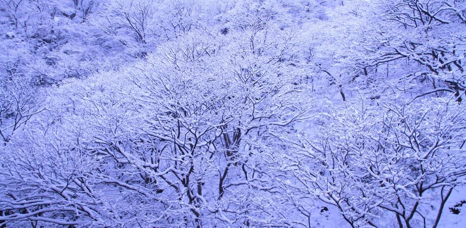 東北リハビリテーション栄養懇話会（T-REX） #2 | Peatix