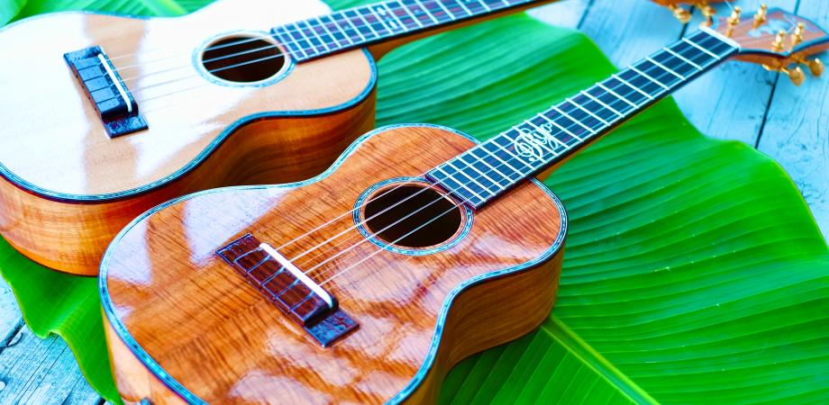 【ソロ・ウクレレ】ナトヤマ・メソッド 第31回マンスリー・オンライン・ワークショップ「Bloom in your Heart」 (一般） | Peatix