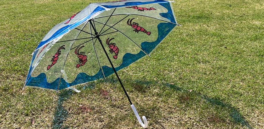 ビニ傘お絵描きアニメ_11/4（土）11:00〜12:30 | Peatix