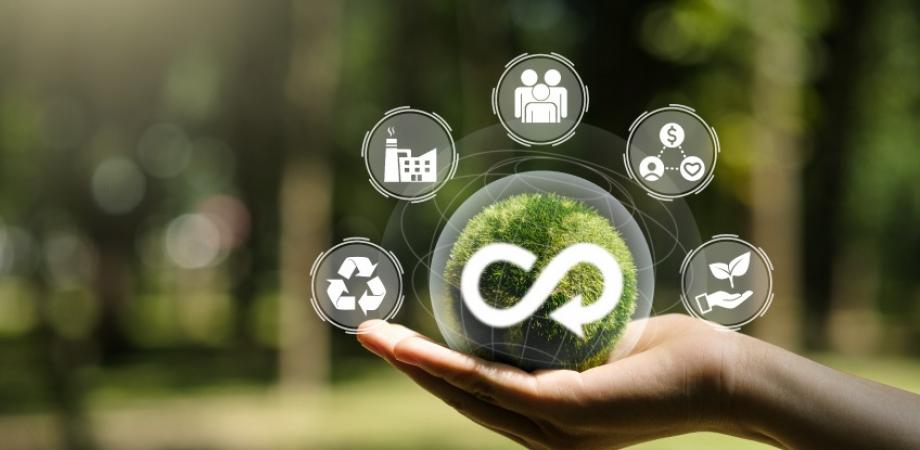 11月27日「ESG経営勉強会」～世界のサステナブル消費 消費者の生の声から読み解く～ | Peatix