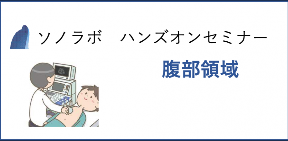 ソノラボハンズオンセミナー（腹部領域） | Peatix